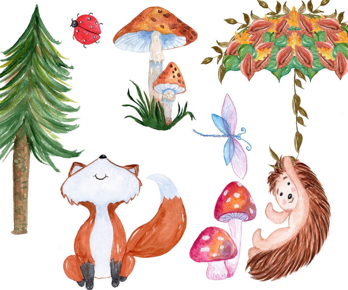 Woodland Animals Clipart: watercolor CLIP Art - Etsy