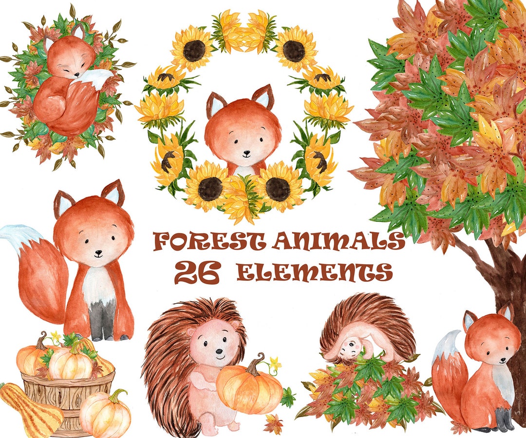 Forest Animals Clipart: watercolor Clipart Pumpkin - Etsy