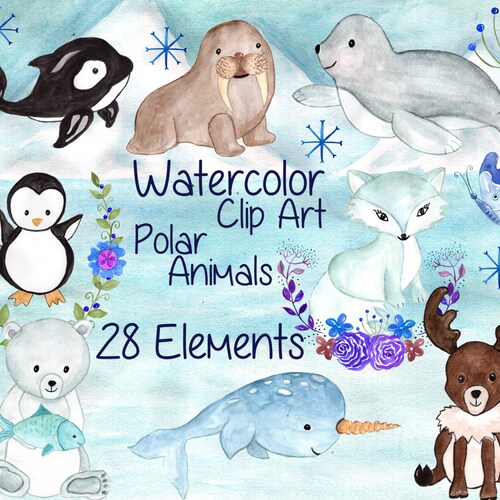 Watercolor Winter Animals Clipart: polar ANIMALS - Etsy