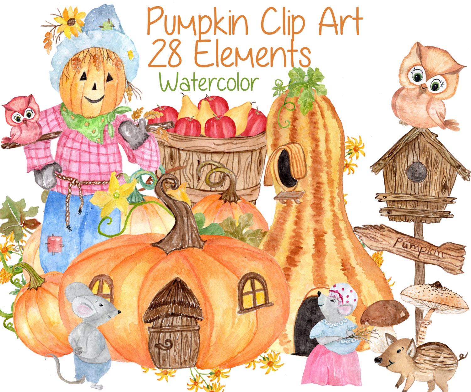 Pumpkin Owl Clipart