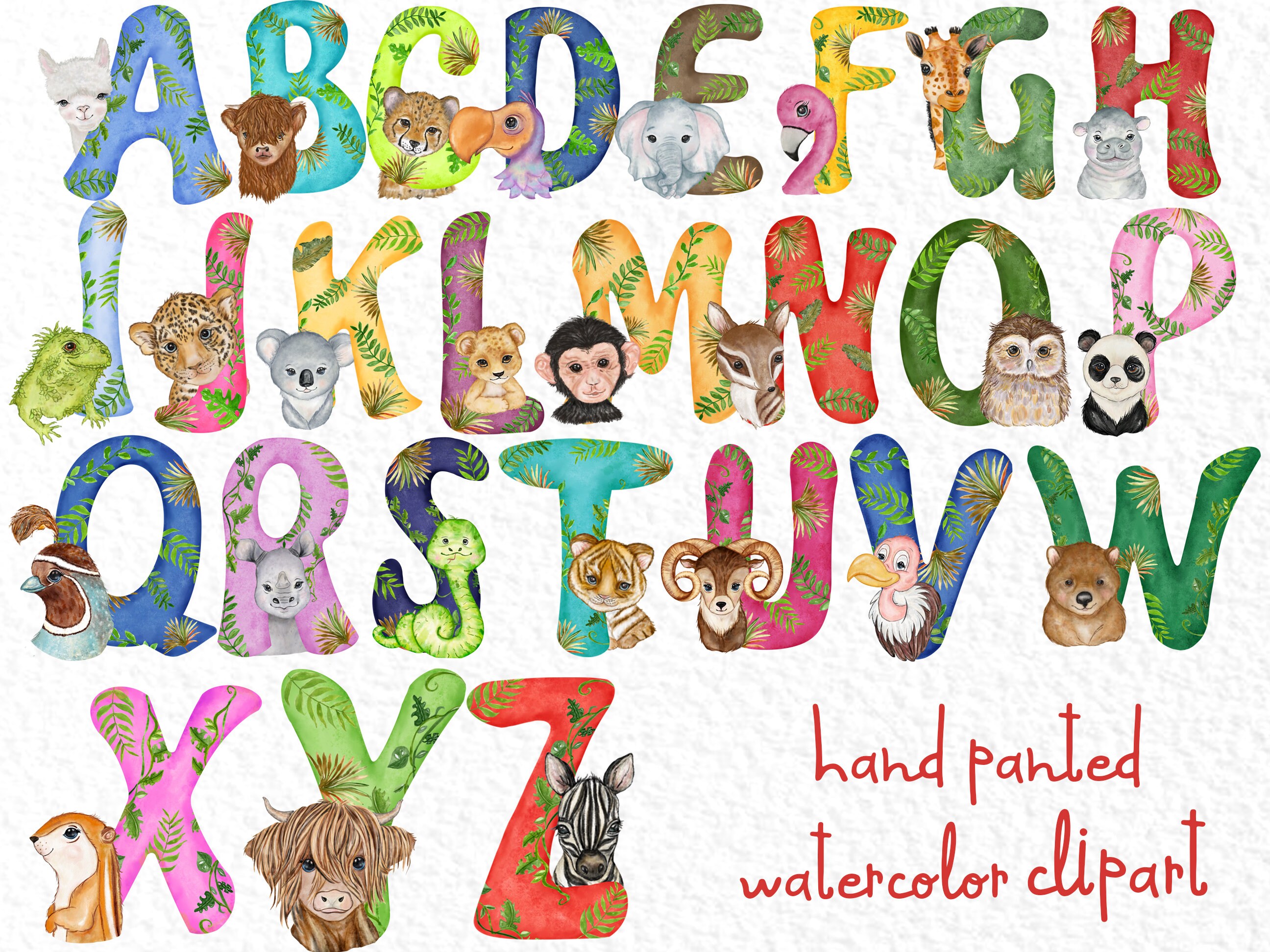Animal Alphabet Clipart: zoo Alphabet Jungle - Etsy Australia