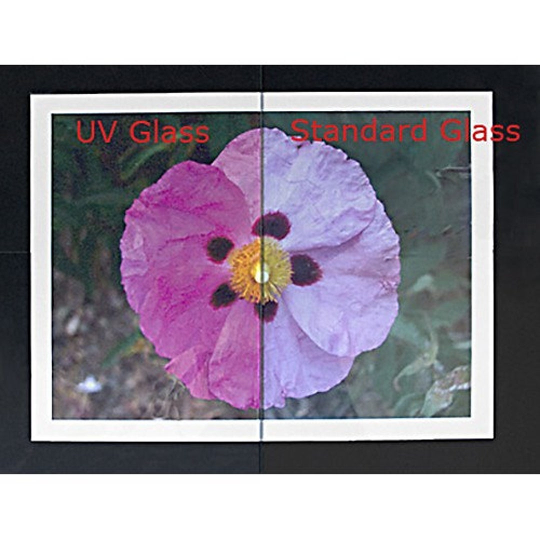 Tru Vue Conservation Clear Uv-filtering Glass - Five or Two Piece Packs ...