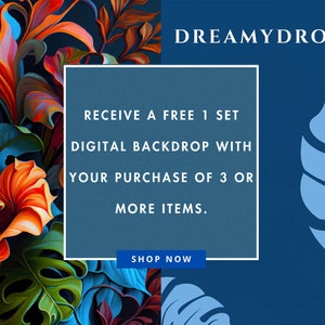 Skinny Canvas Digital Backdrops, Photo Backgrounds, Maternity Backdrop ...