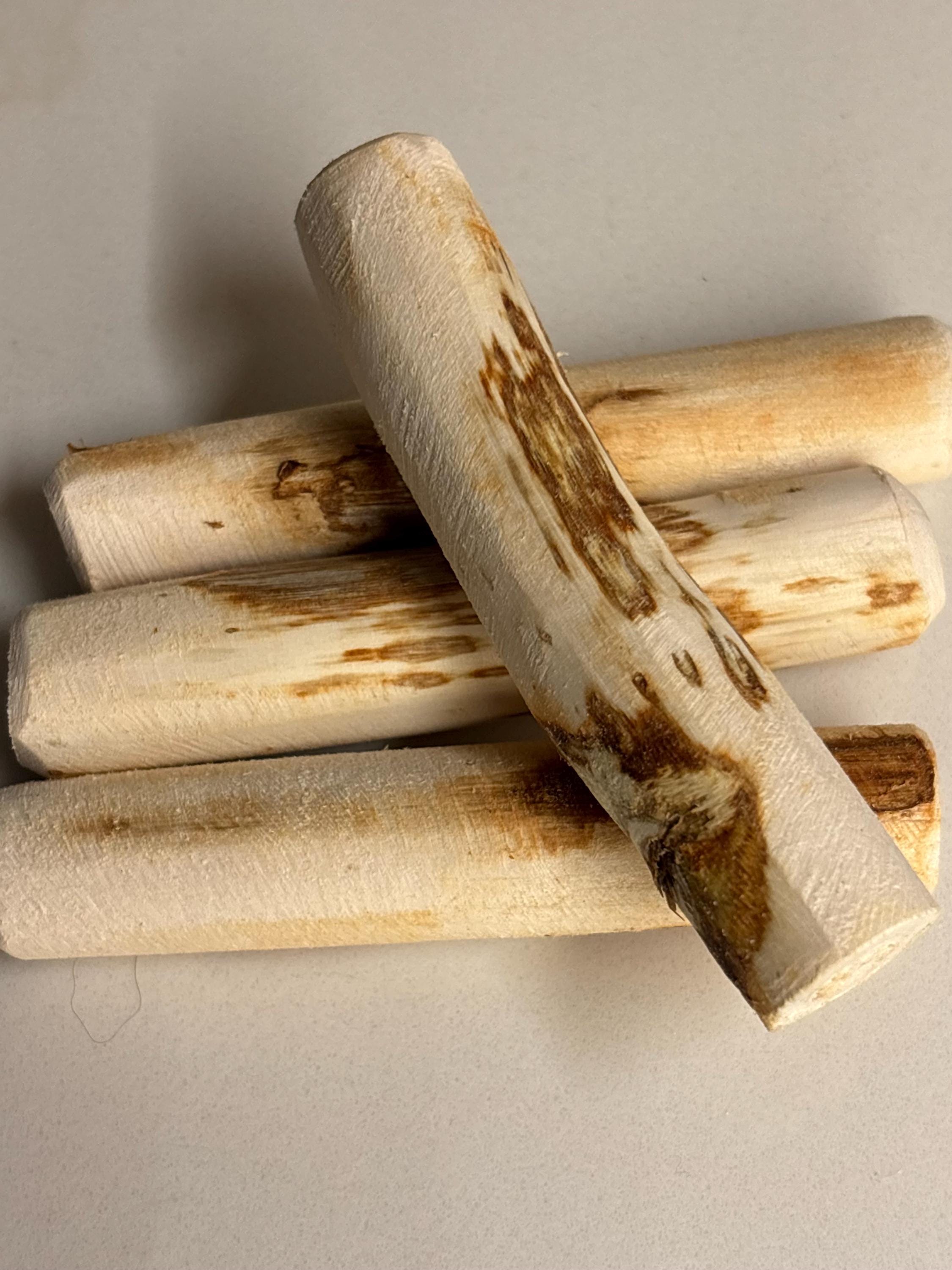 Alaskan Devil's Club Sticks: Natural Air Freshener, DIY Aromatic Bead ...