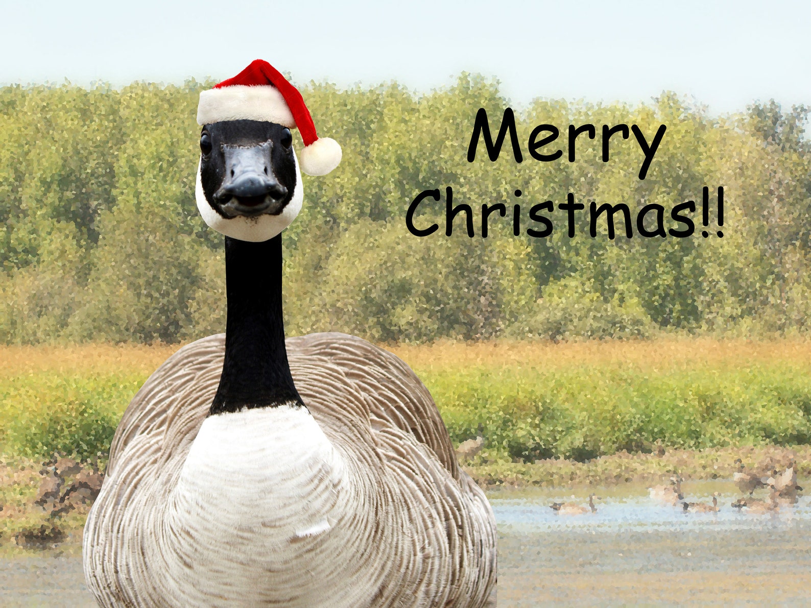 Merry Christmas Goose by Kate Hubbard - Etsy