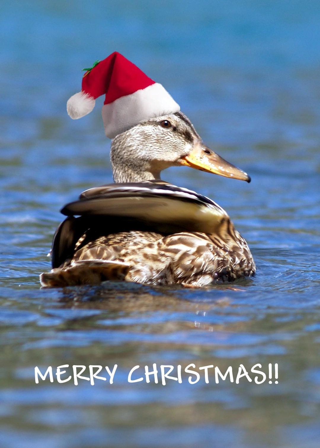 Merry Christmas Duck by Kate Hubbard - Etsy