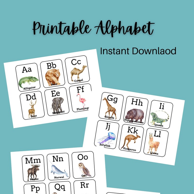 Alphabet Flashcards - Etsy