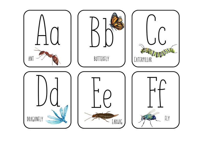 Printable Bug Alphabet Cards - Classroom Supplies - Etsy
