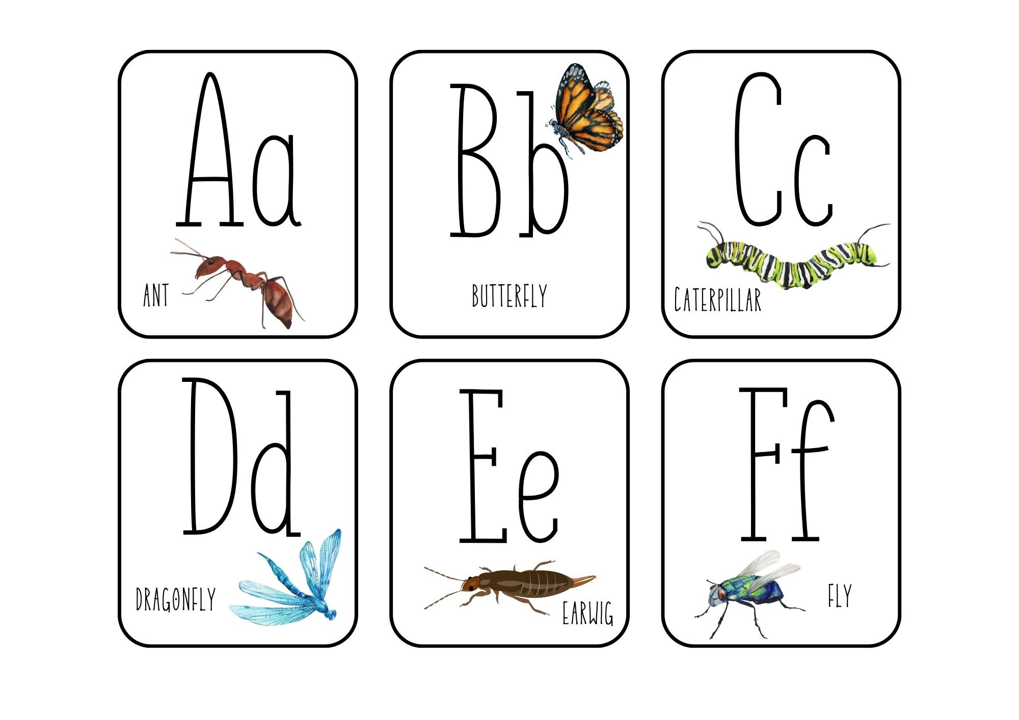 Printable Bug Alphabet Cards - Classroom Supplies - Etsy