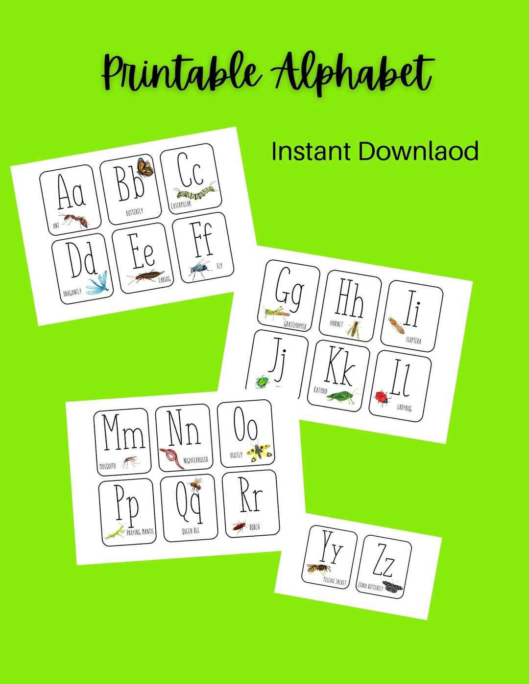Printable Bug Alphabet Cards - Classroom Supplies - Etsy