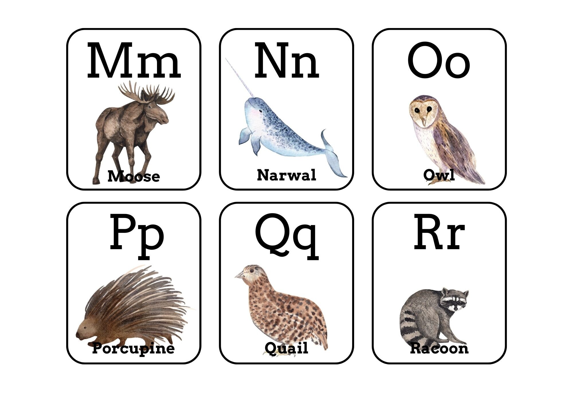 Printable Animal Alphabet Flashcards - Classroom Supplies - Etsy