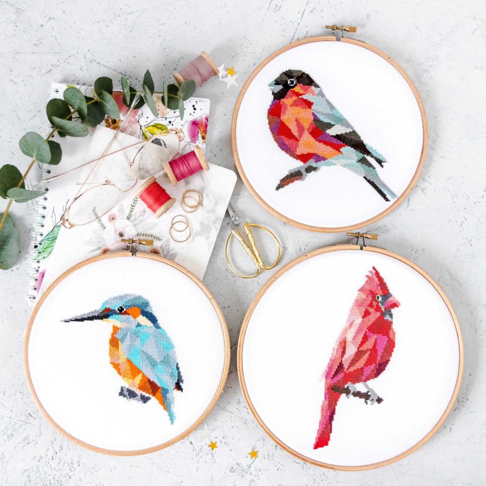 Robin Cross Stitch Pattern PDF Modern Bird Embroidery Easy - Etsy