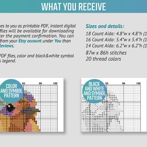 Christmas Robin Cross Stitch Pattern - Etsy