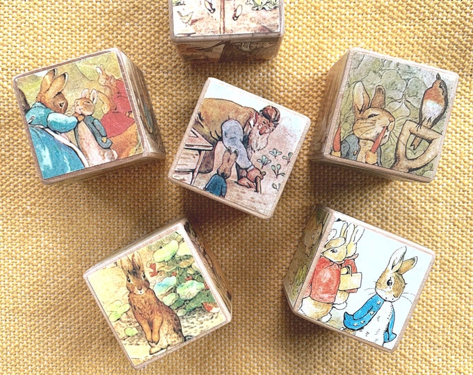 Peter Rabbit Beatrix Potter 6 Storybook Blocks - Etsy