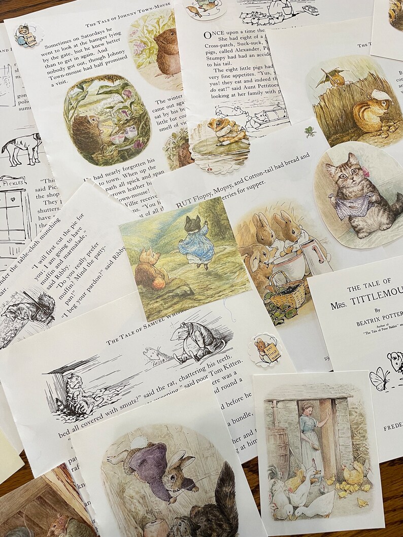 Beatrix Potter Peter Rabbit and Friends 25 Pack Ephemera 3 Bonus ...