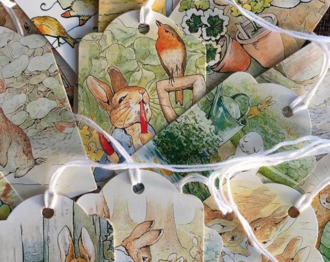 Peter Rabbit, Storybook Stickers, Baby Shower, Birthday Party, Favor ...
