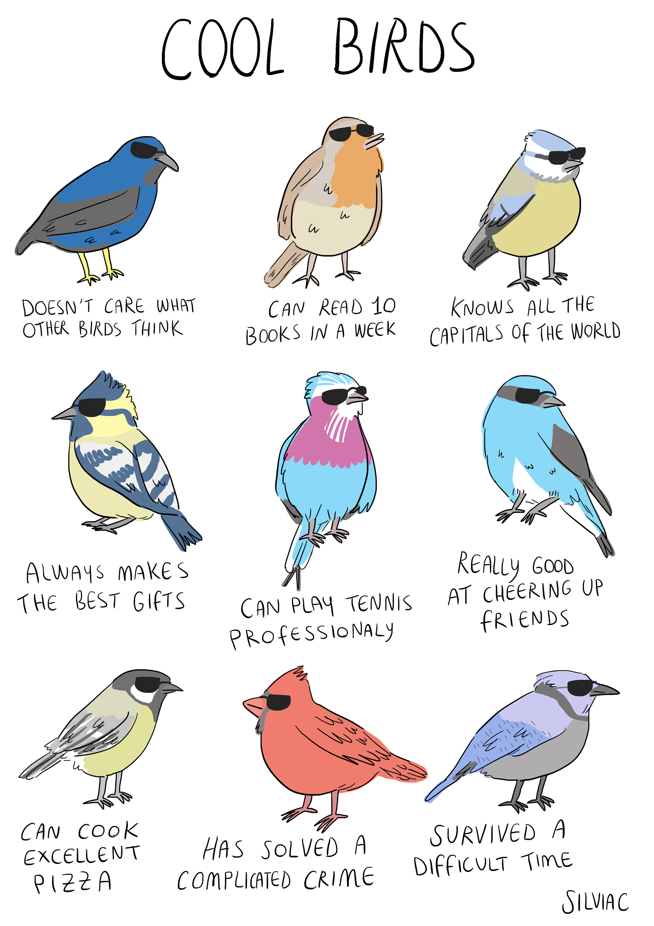 Cool Birds - A4 Print - Etsy