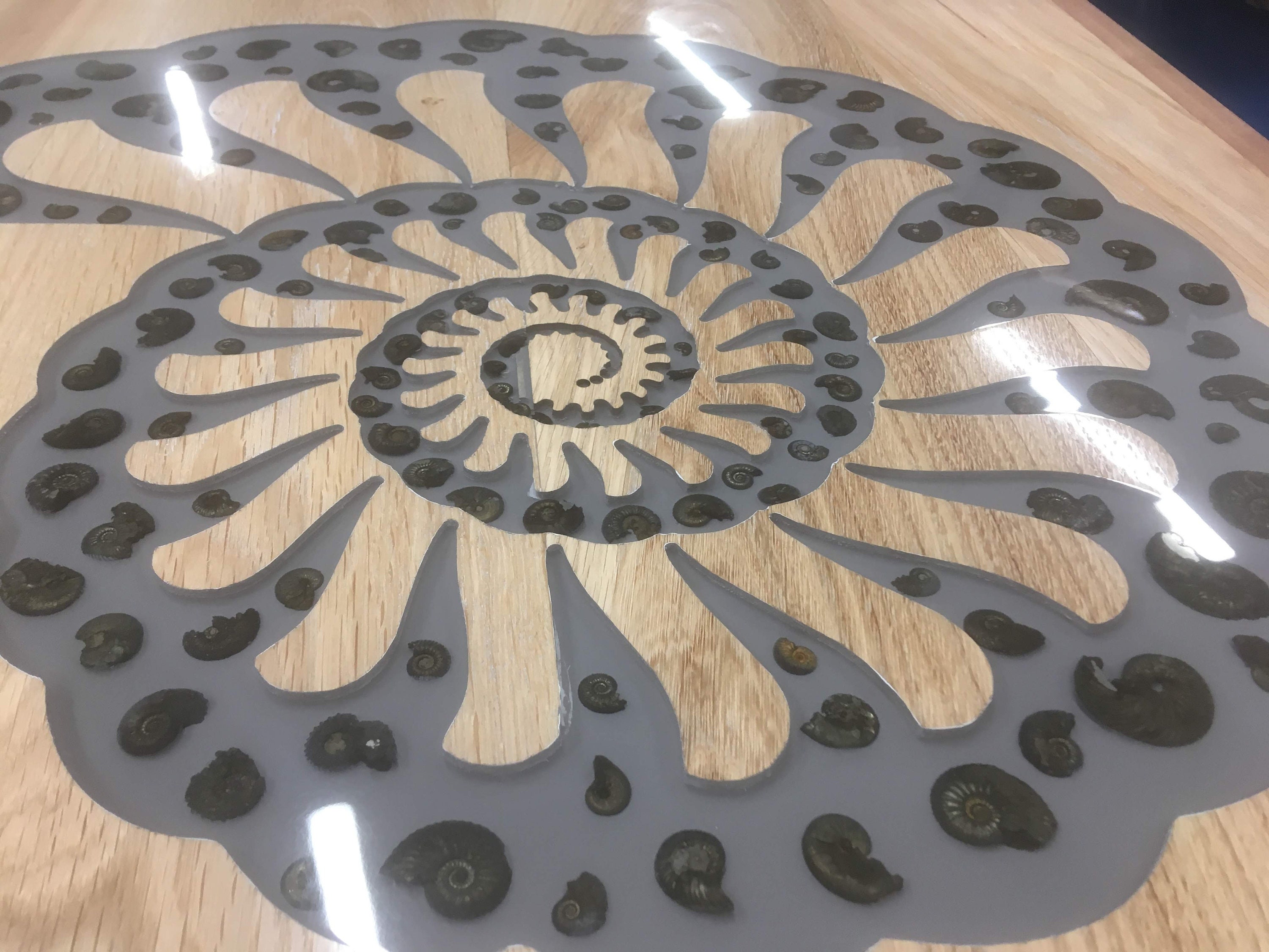 Ammonite Coffee Table with real ammonites | Etsy