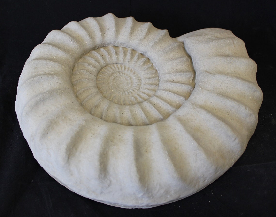 Large Cast Display Ammonite With Stand Concrete Cast, for Indoor or ...