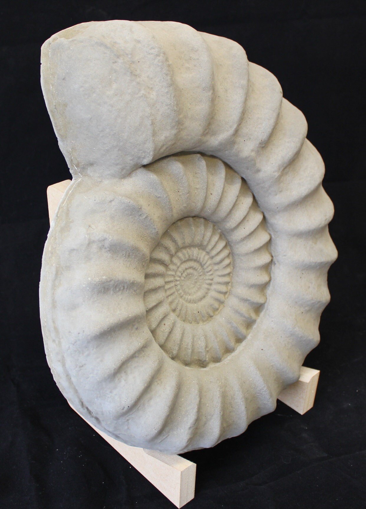 Large Cast Display Ammonite With Stand Concrete Cast, for Indoor or ...