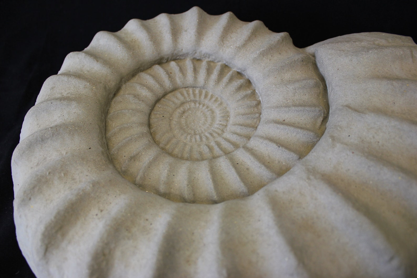 Large Cast Display Ammonite With Stand Concrete Cast, for Indoor or ...