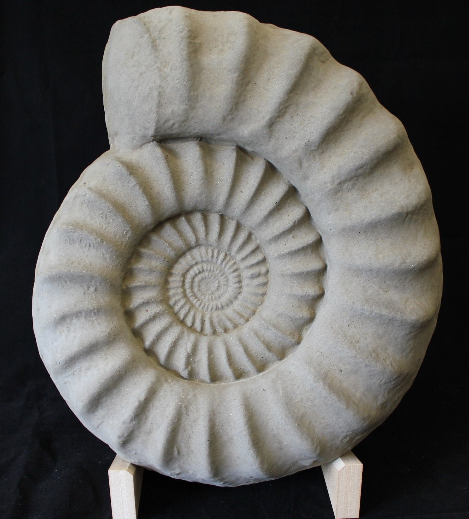Large Cast Display Ammonite With Stand Concrete Cast, for Indoor or ...