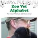 Zoo Vet Alphabet - Etsy