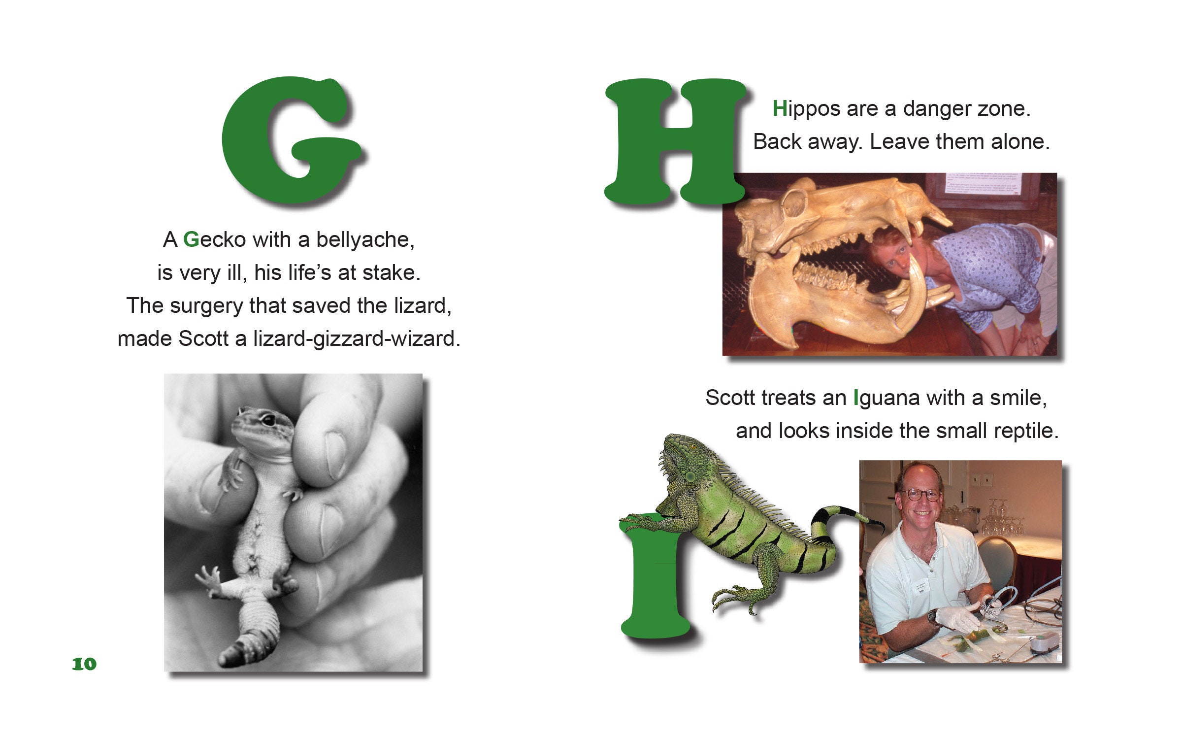 Zoo Vet Alphabet - Etsy