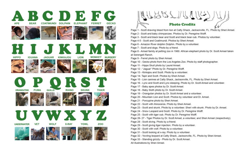 Zoo Vet Alphabet - Etsy