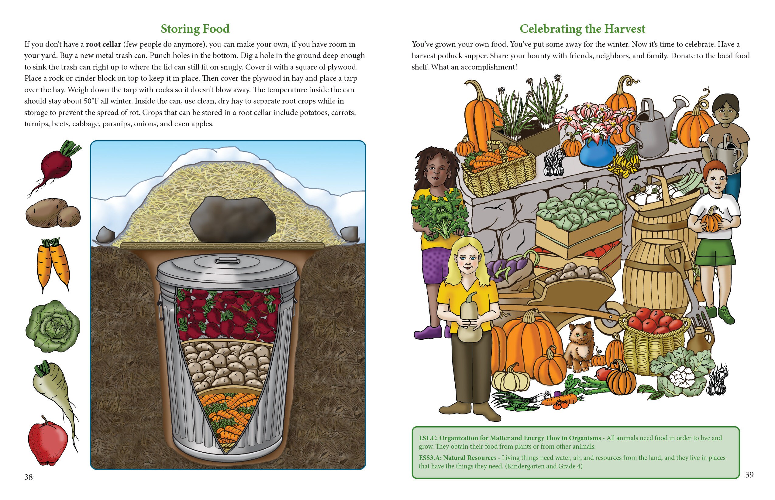 Gardening With Kids Grow Vegetables. Learn About Science. - Etsy