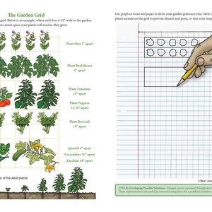 Gardening With Kids Grow Vegetables. Learn About Science. - Etsy