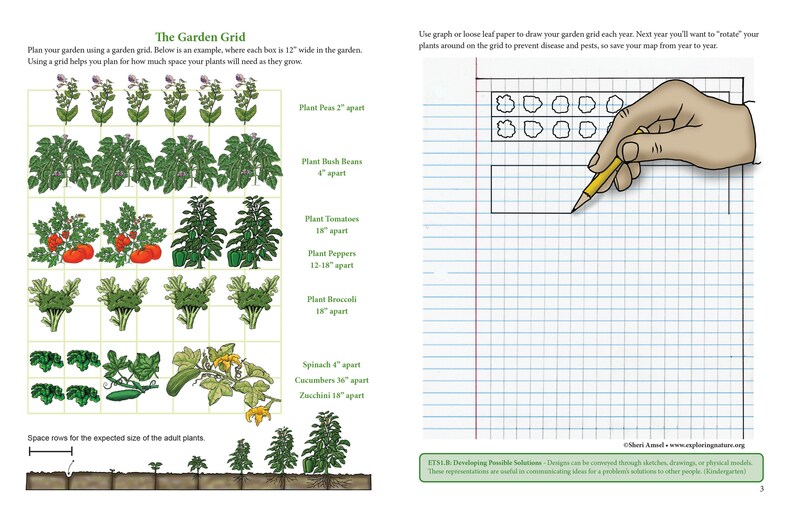 Gardening With Kids Grow Vegetables. Learn About Science. - Etsy