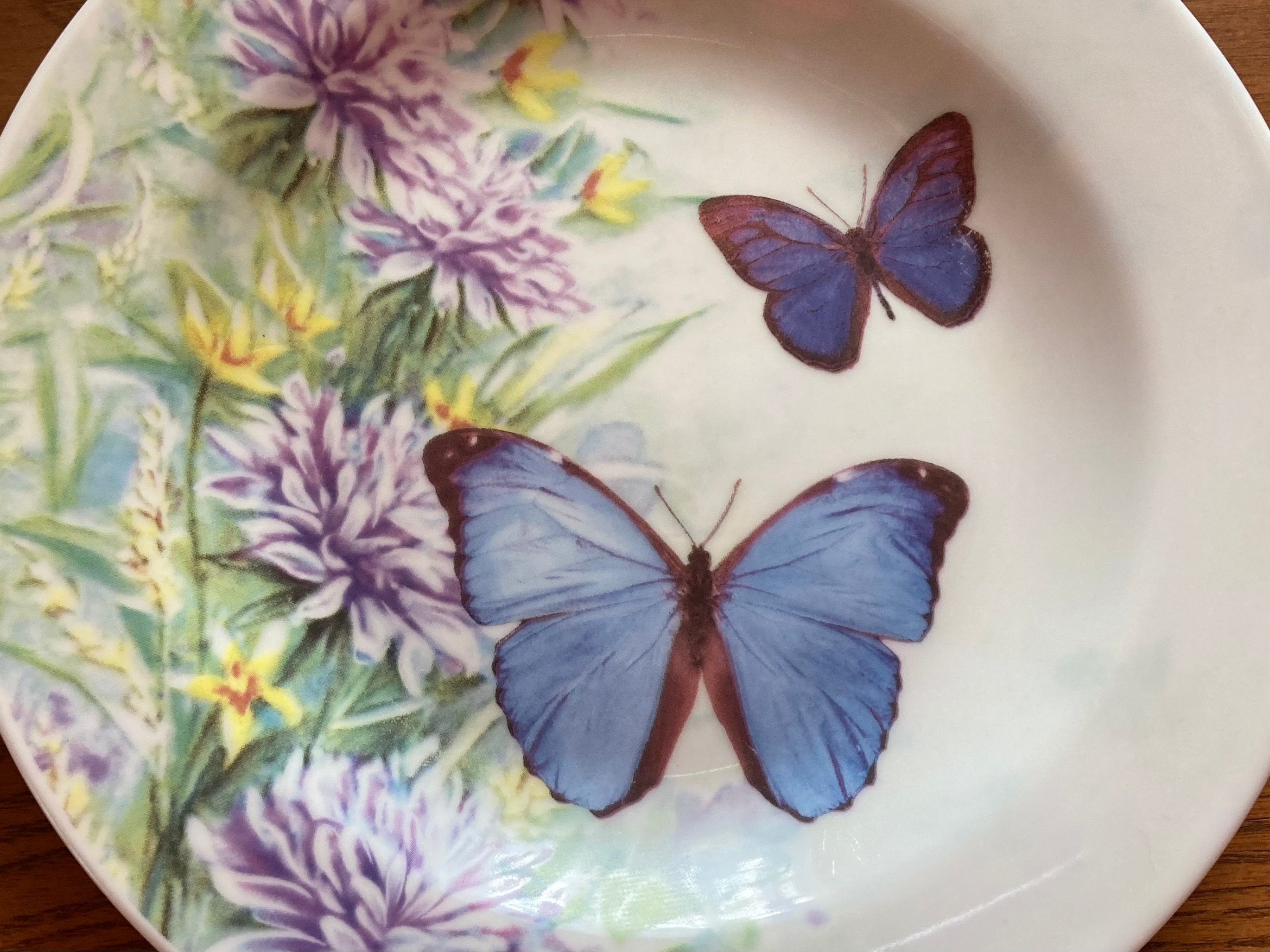 Butterfly Plate Set - Etsy