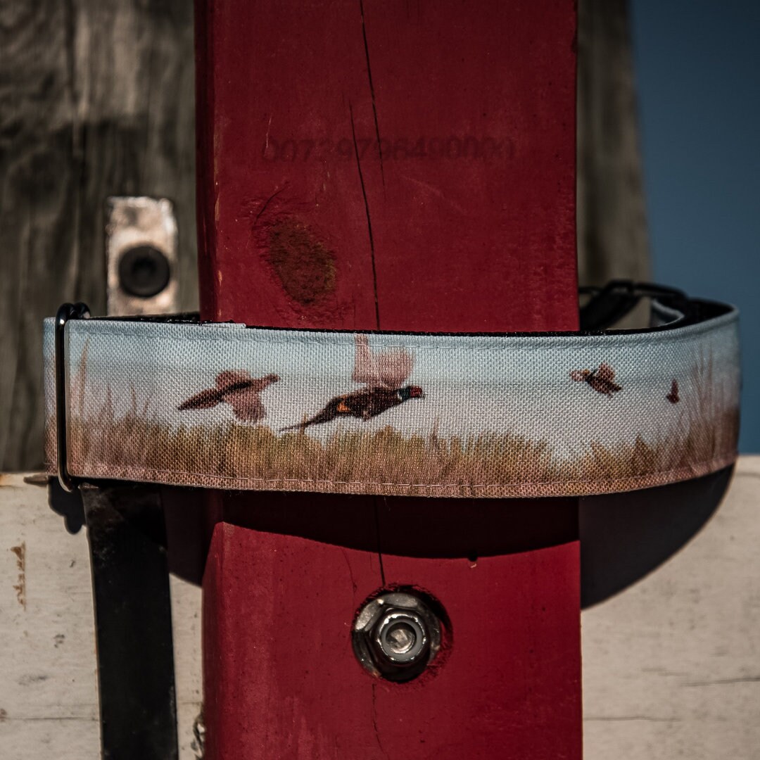 Pheasant Dog Collar: Hand-drawn Bird Dog Design (1.5 Inch) - Etsy