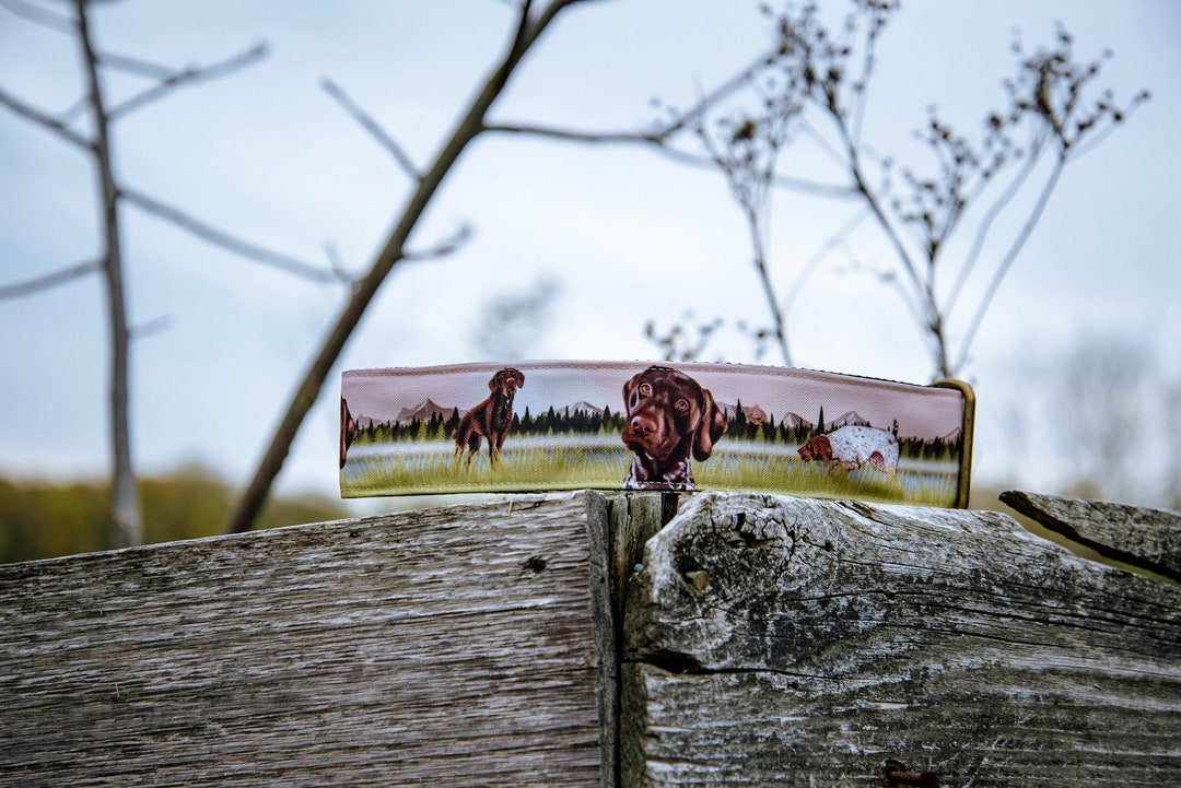 German Shorthaired Pointer Collar, Wide Dog Collar, 2 Inch Dog Collar ...