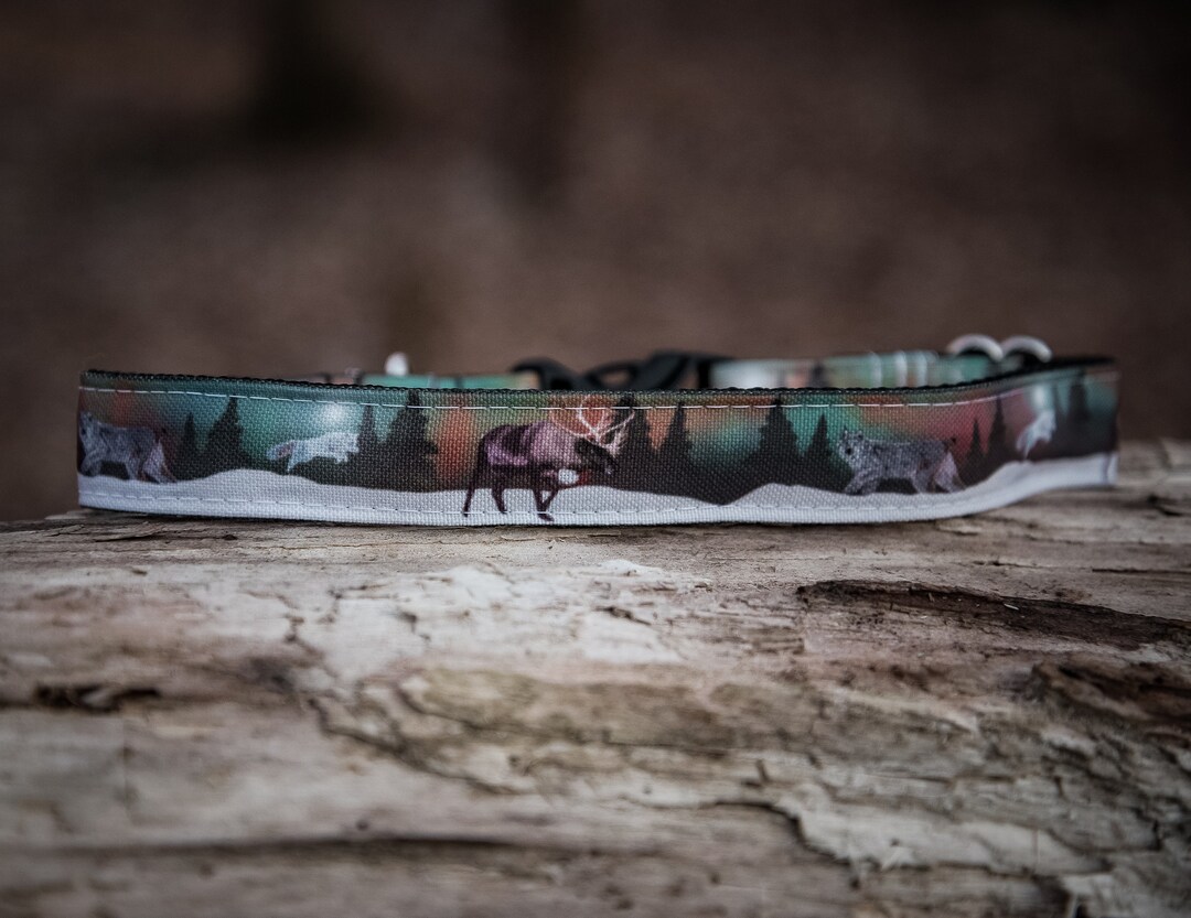 Aurora Borealis Dog Collar: Tundra Arctic Adventure, 1 Inch - Etsy