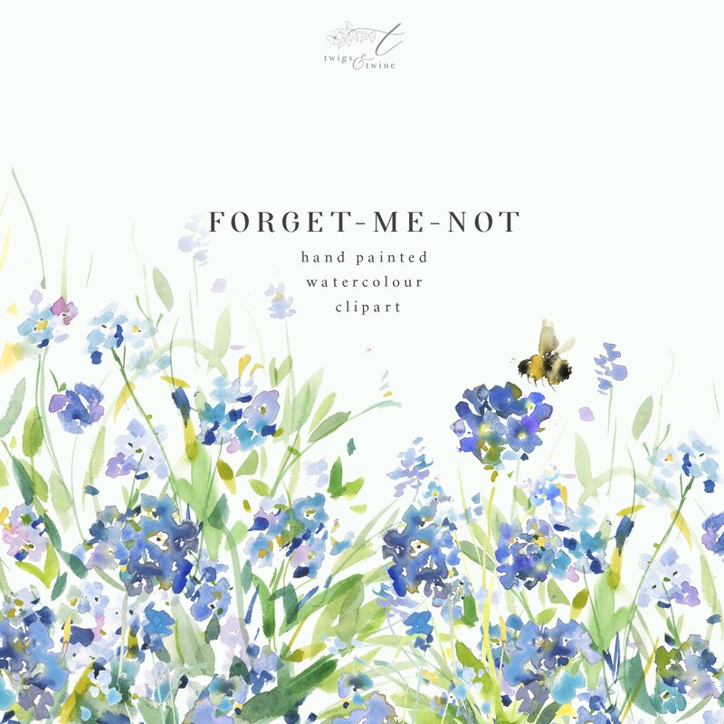 Forget Me Not Paper - Etsy