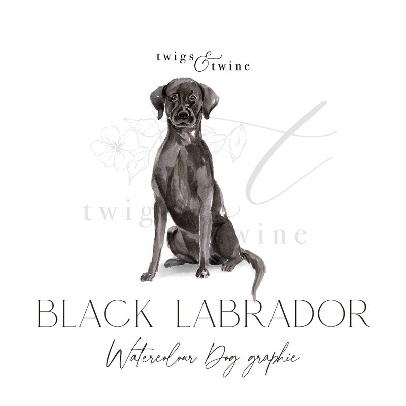 Black Lab Art - Etsy