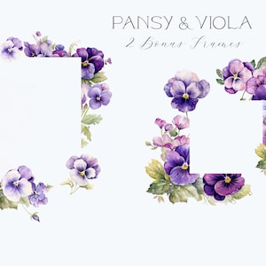 Pansy and Viola Flower Clipart | Vibrant Floral Graphics | Transparent ...