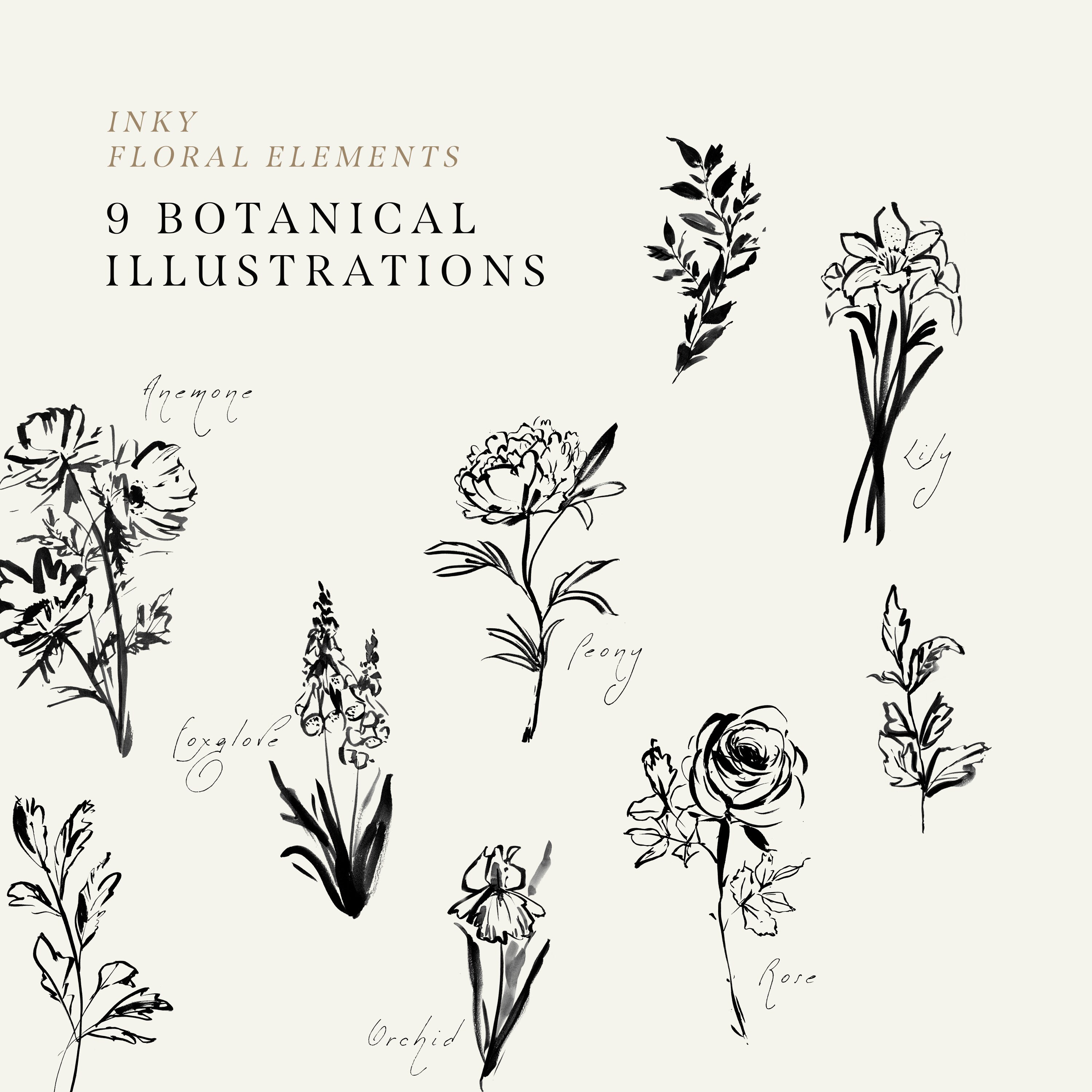 Coco - Inky Florals - Hand-painted Botanical Illustrations in Black and ...