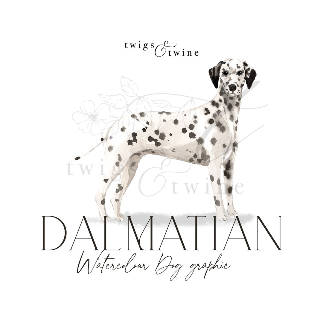 Dalmatian Watercolor Dog Illustration Graphic - Commercial Use - With ...