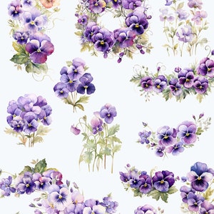 Pansy and Viola Flower Clipart | Vibrant Floral Graphics | Transparent ...