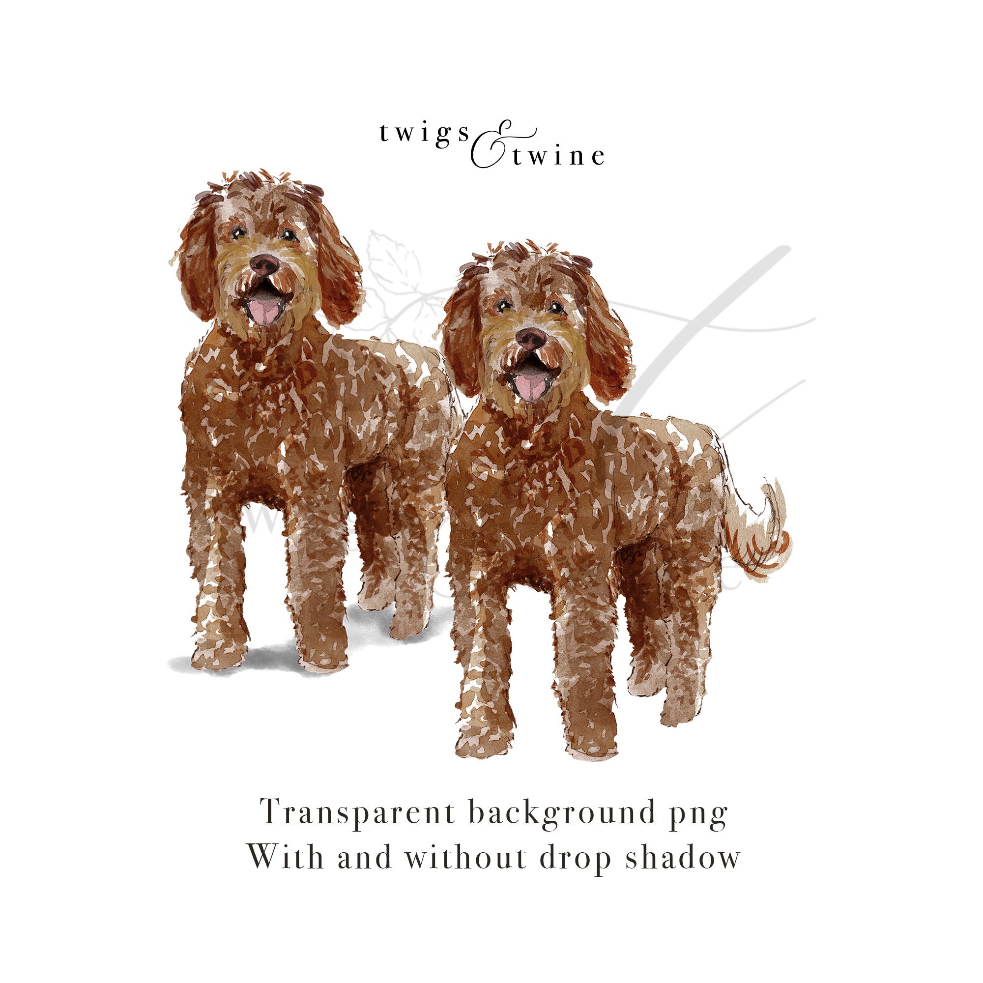 Brown Labradoodle Watercolor Dog Illustration Graphic - Etsy