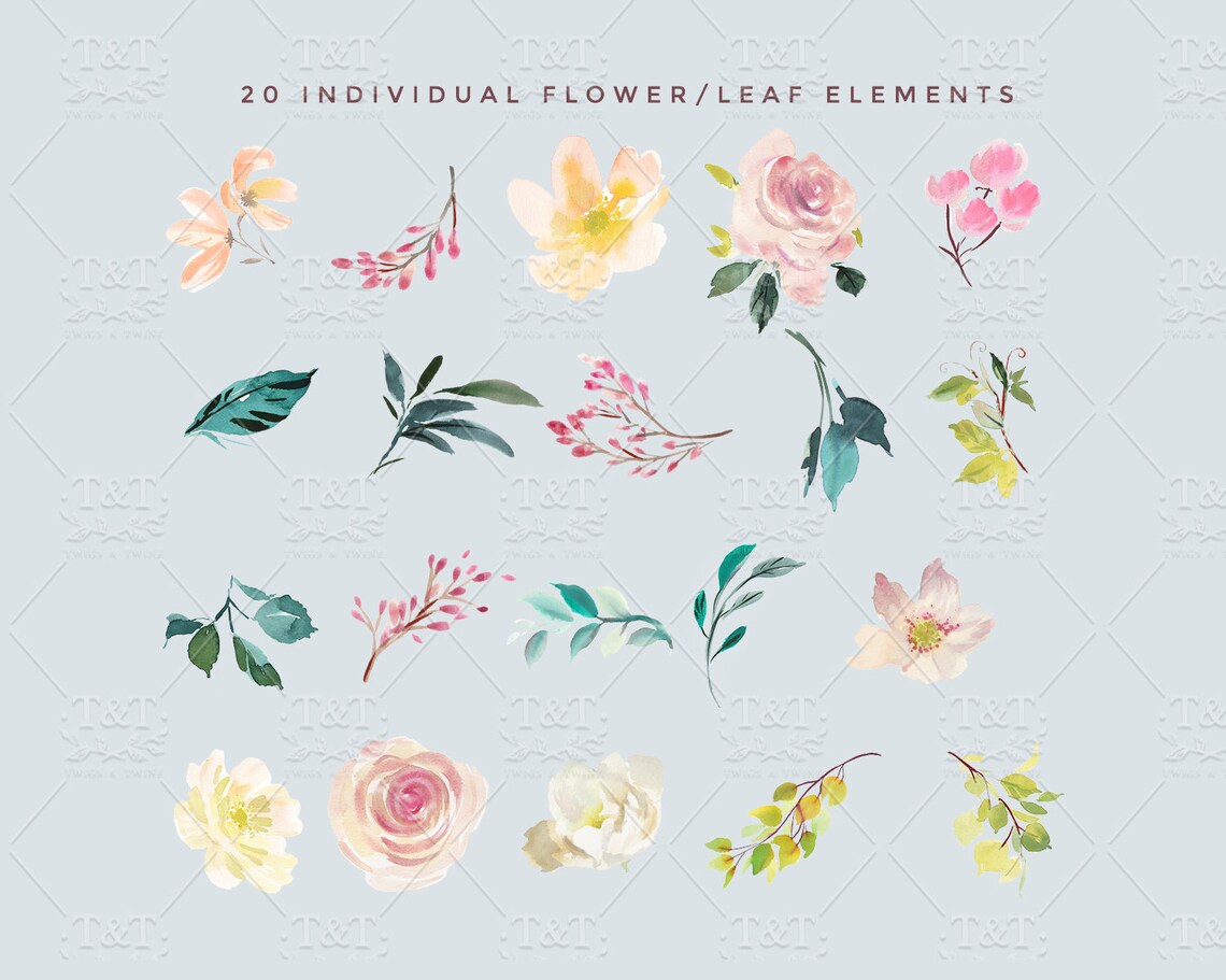 Hand Painted Flower Clipart Whisper Watercolor Floral. | Etsy