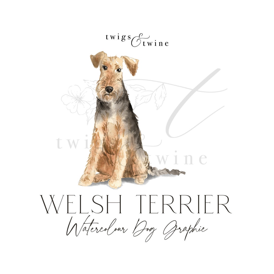 Welsh Terrier Watercolor Dog Illustration Graphic - Commercial Use ...