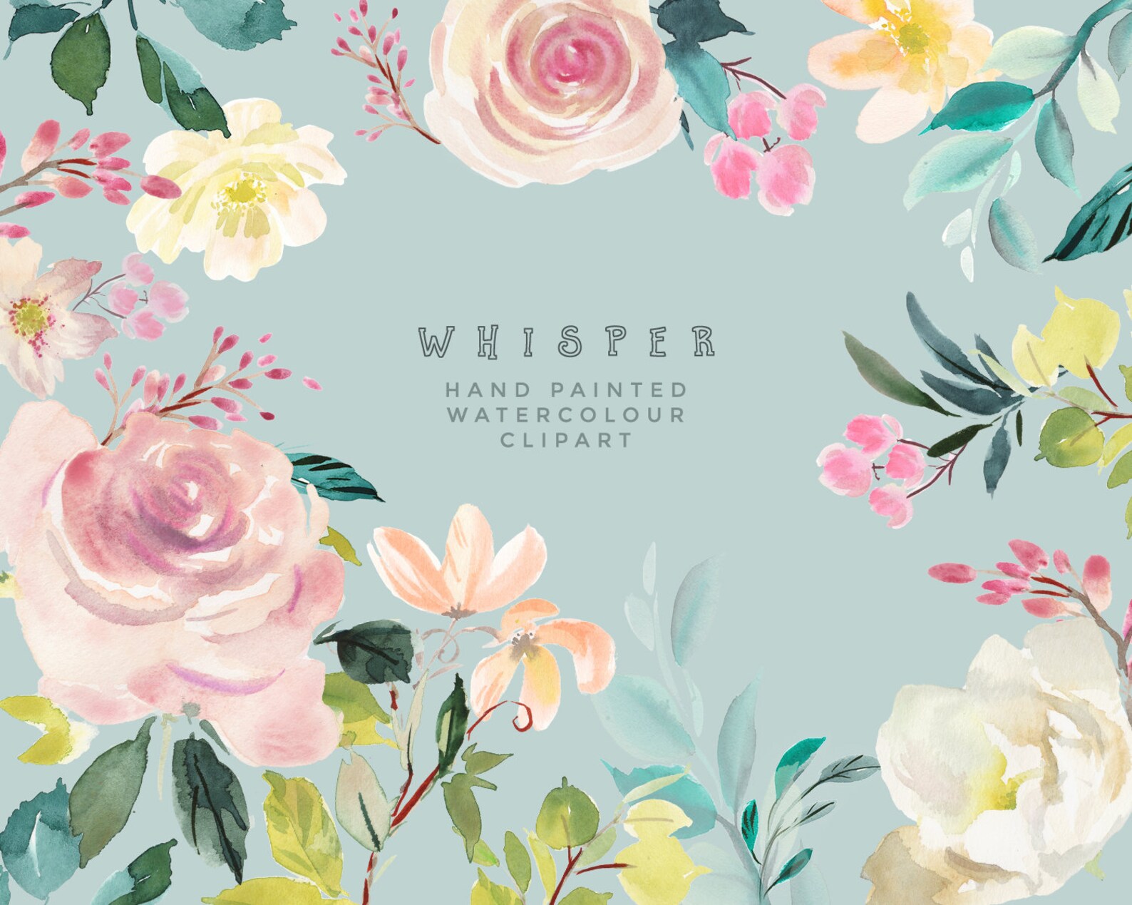 Hand Painted Flower Clipart Whisper Watercolor Floral. | Etsy