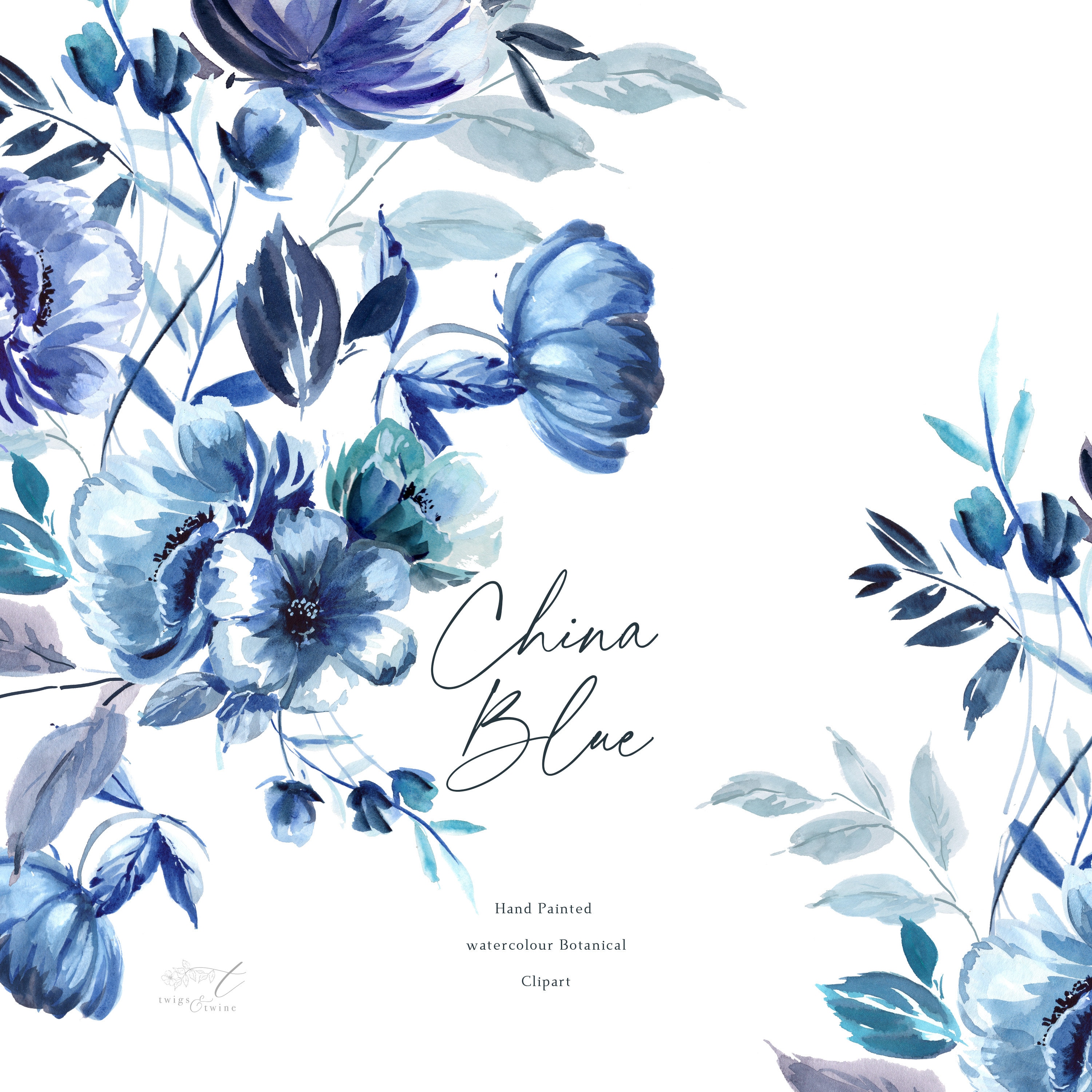 China Blue - Hand-painted Watercolour Botanical Clipart - Instant ...