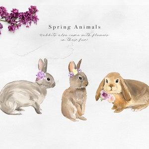 Watercolour Animal Clipart - Tinkerbell Animals - Includes a Lamb ...