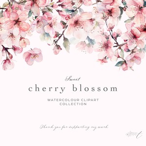 Cherry Blossom Flower Clipart | Spring Floral Graphics | Delicate Pink ...