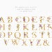 Floral Alphabet in Gold Foil and Block White - Part of the Tinkerbell ...
